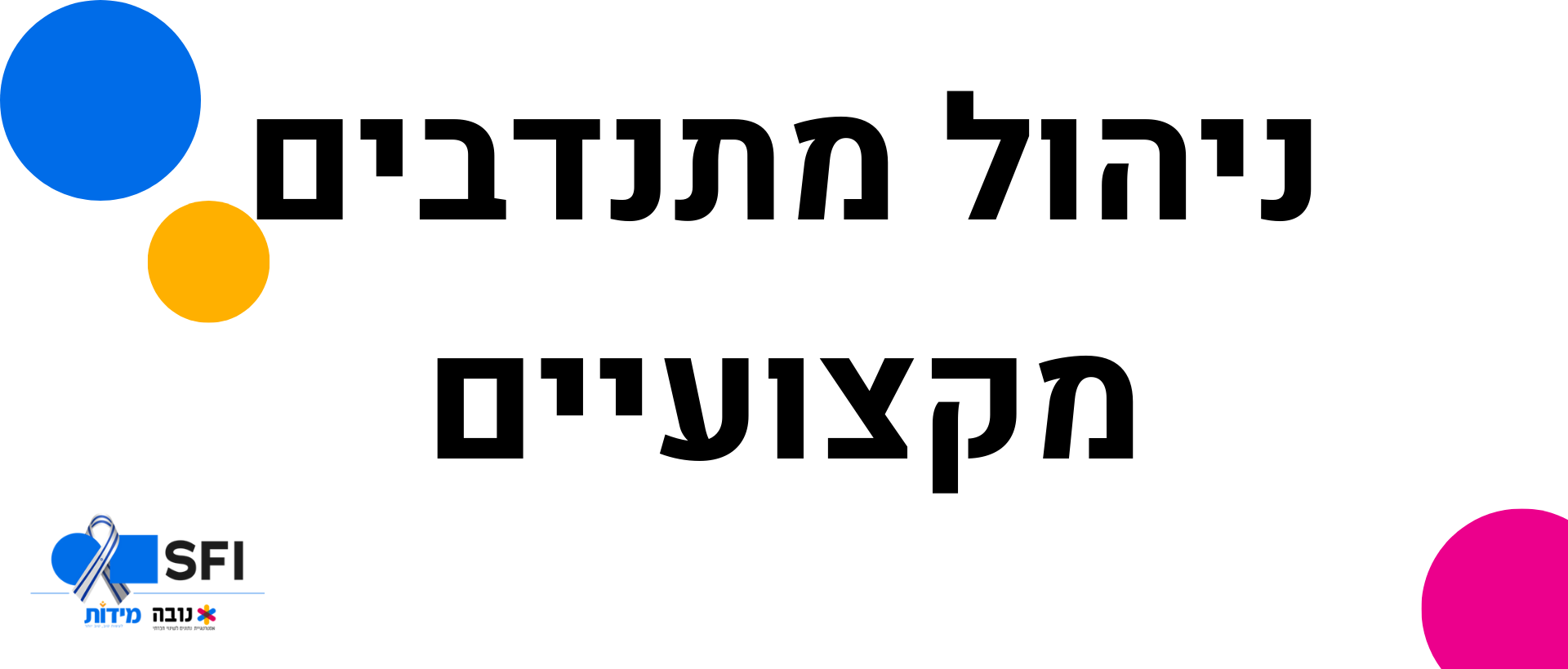 ניהול מתנדבים מקצועיים - SFI Group
